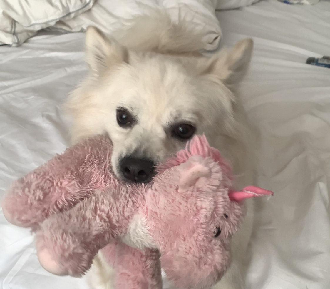 Happy by Ellie Yu - Heartland English Blog